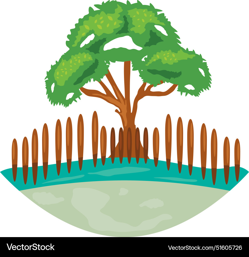 Mangrove tree with green foliage Royalty Free Vector Image