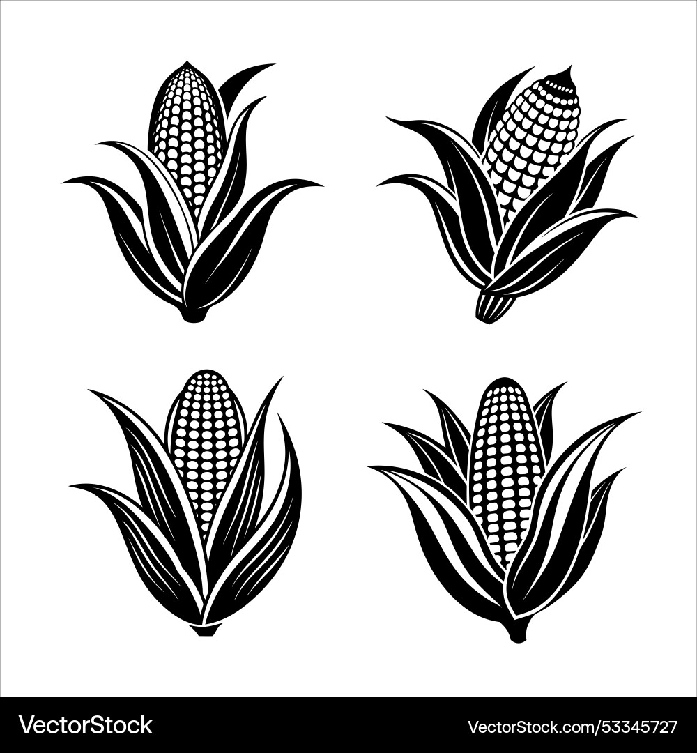 Stylized corn Royalty Free Vector Image - VectorStock