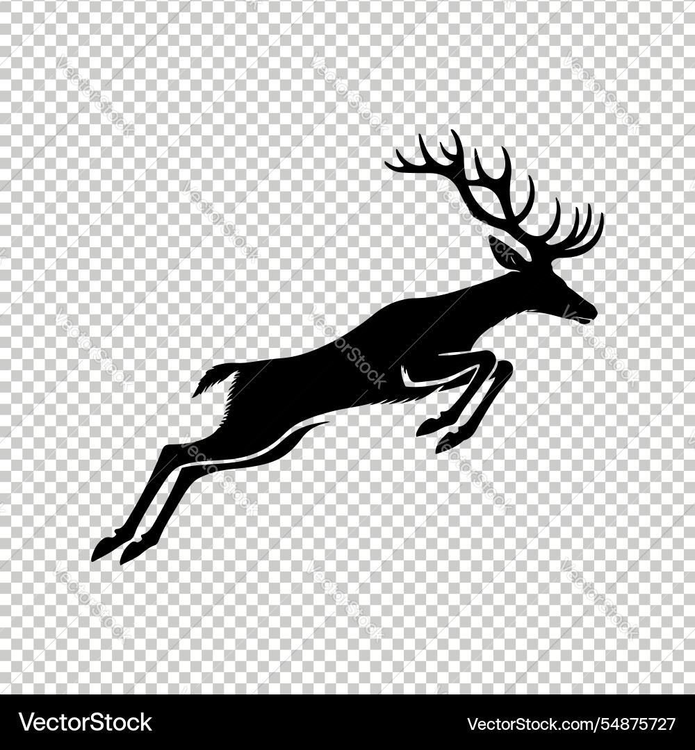 Whitetail deer Royalty Free Vector Image - VectorStock