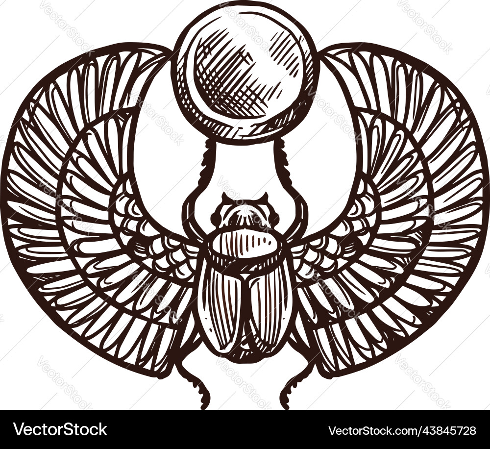 Ancient egypt scarab beetle sacred deity sketch Vector Image