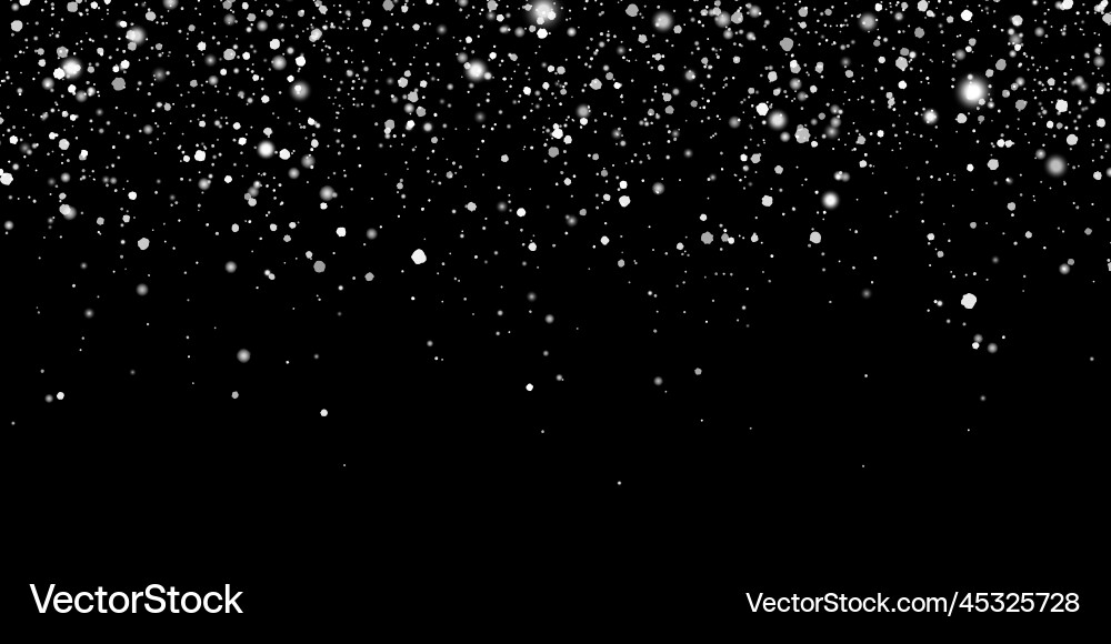 Falling winter snow flakes on black background Vector Image