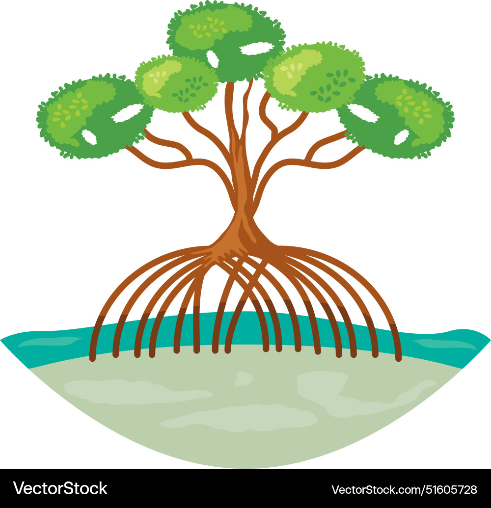 Mangrove forests and seascape Royalty Free Vector Image