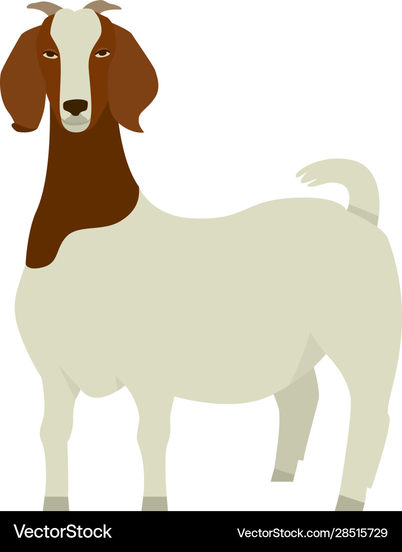 Farming set boer goat breed Royalty Free Vector Image