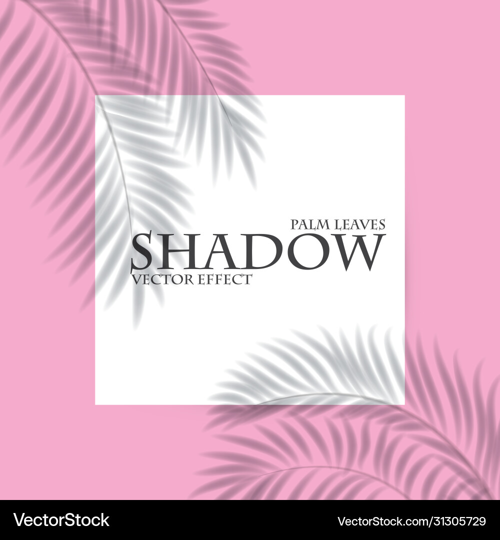 Palm leaf shadow transparent effect exotic design Vector Image