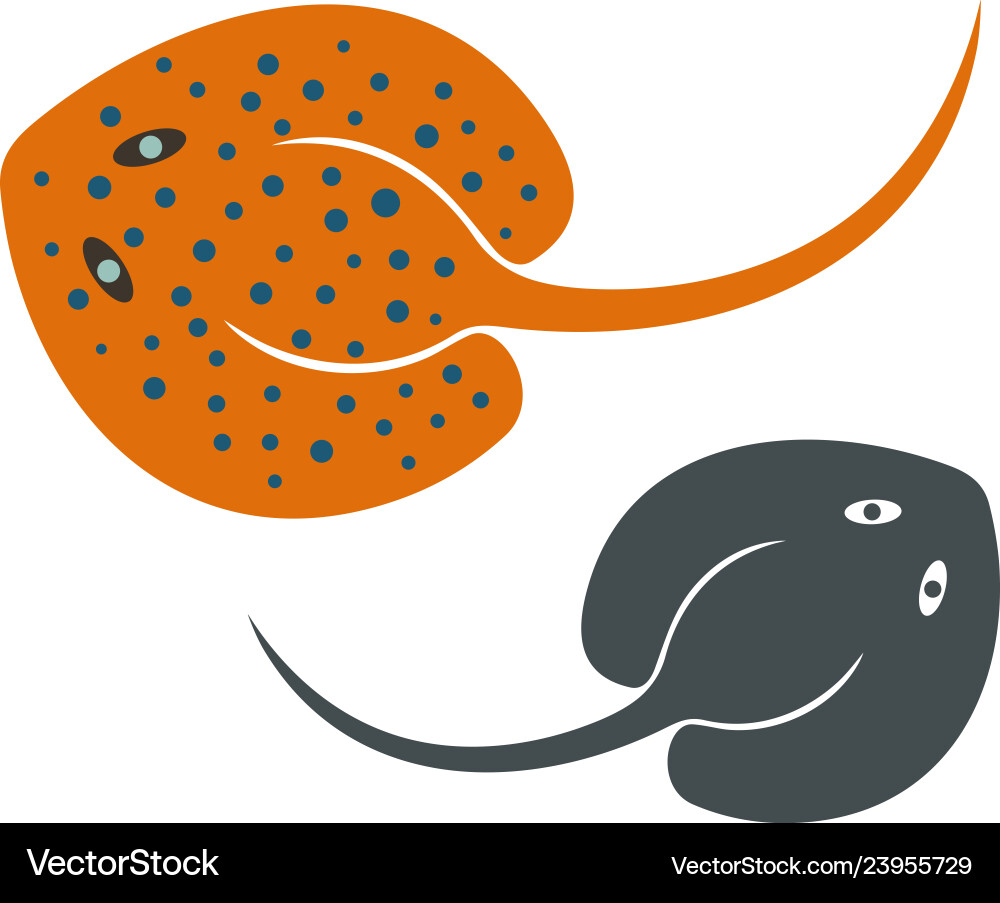 Stingray Royalty Free Vector Image - VectorStock