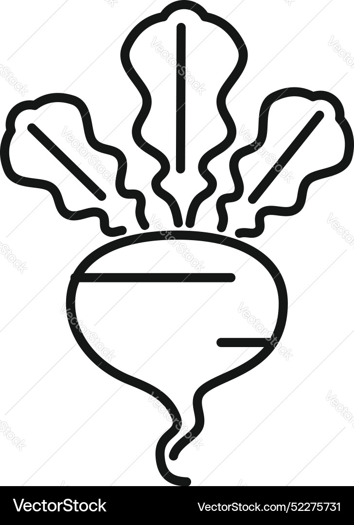 Big radish icon showing fresh vegetable from Vector Image