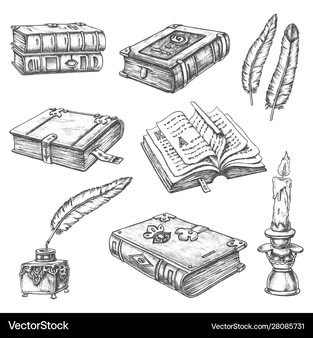 Old rarity books writer vintage ink quill feather Vector Image