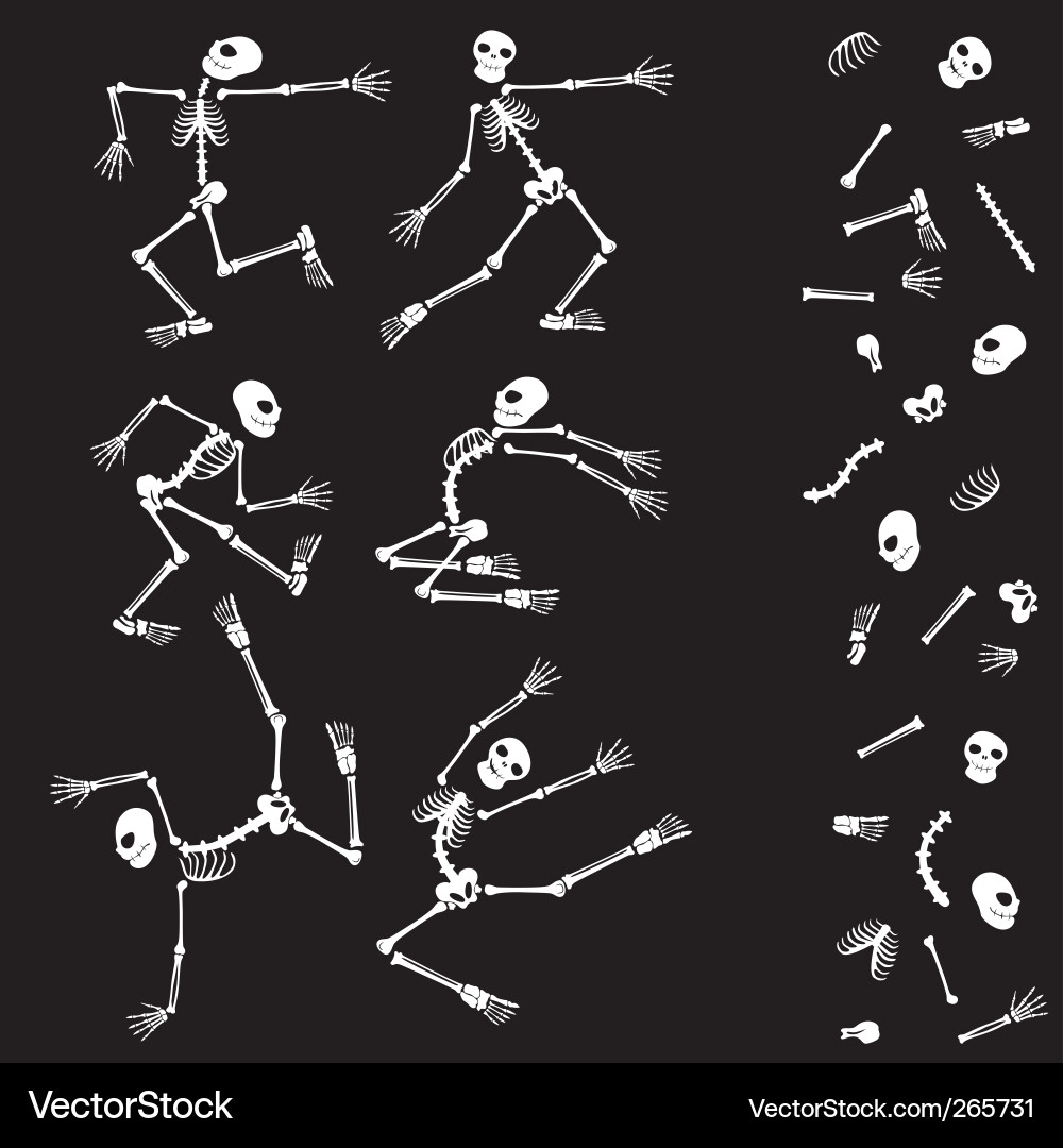 Skeleton design elements Royalty Free Vector Image