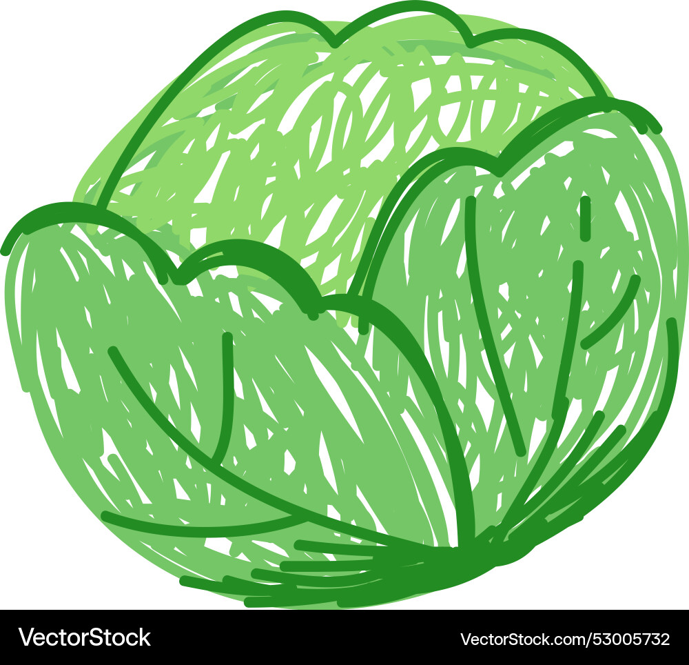 Cabbage as kids doodle simple hand drawn element Vector Image