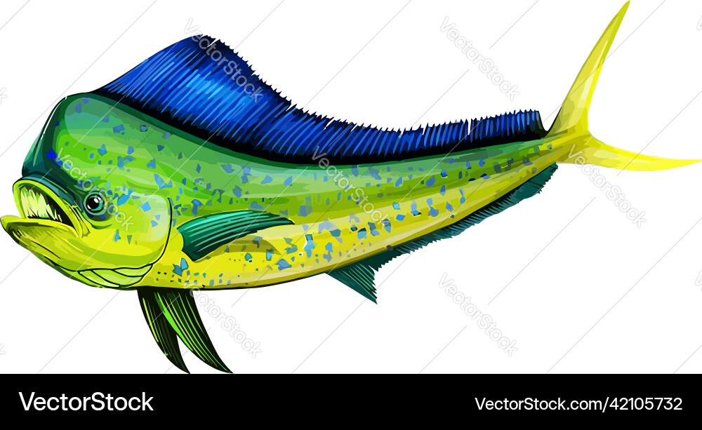 Mahi Vector Images (over 210)