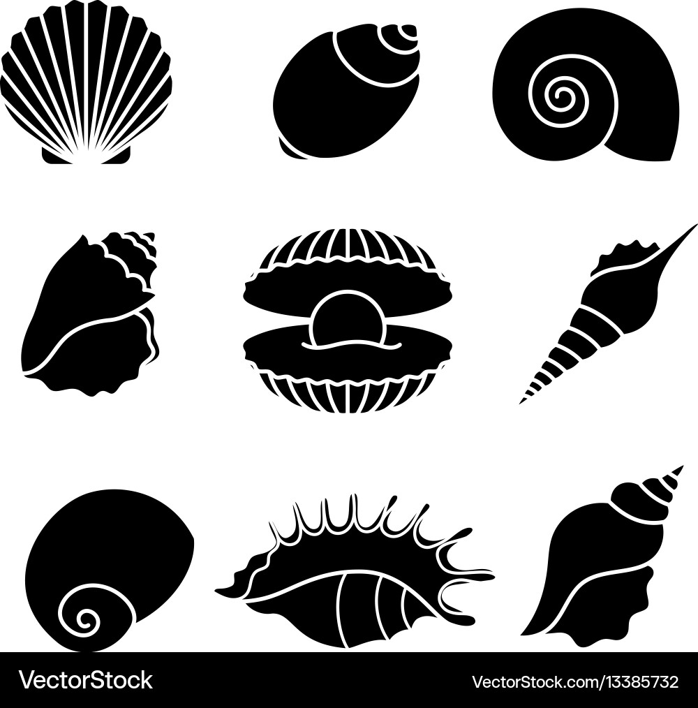 Clam Shell Silhouette Vector Images (over 2,200)