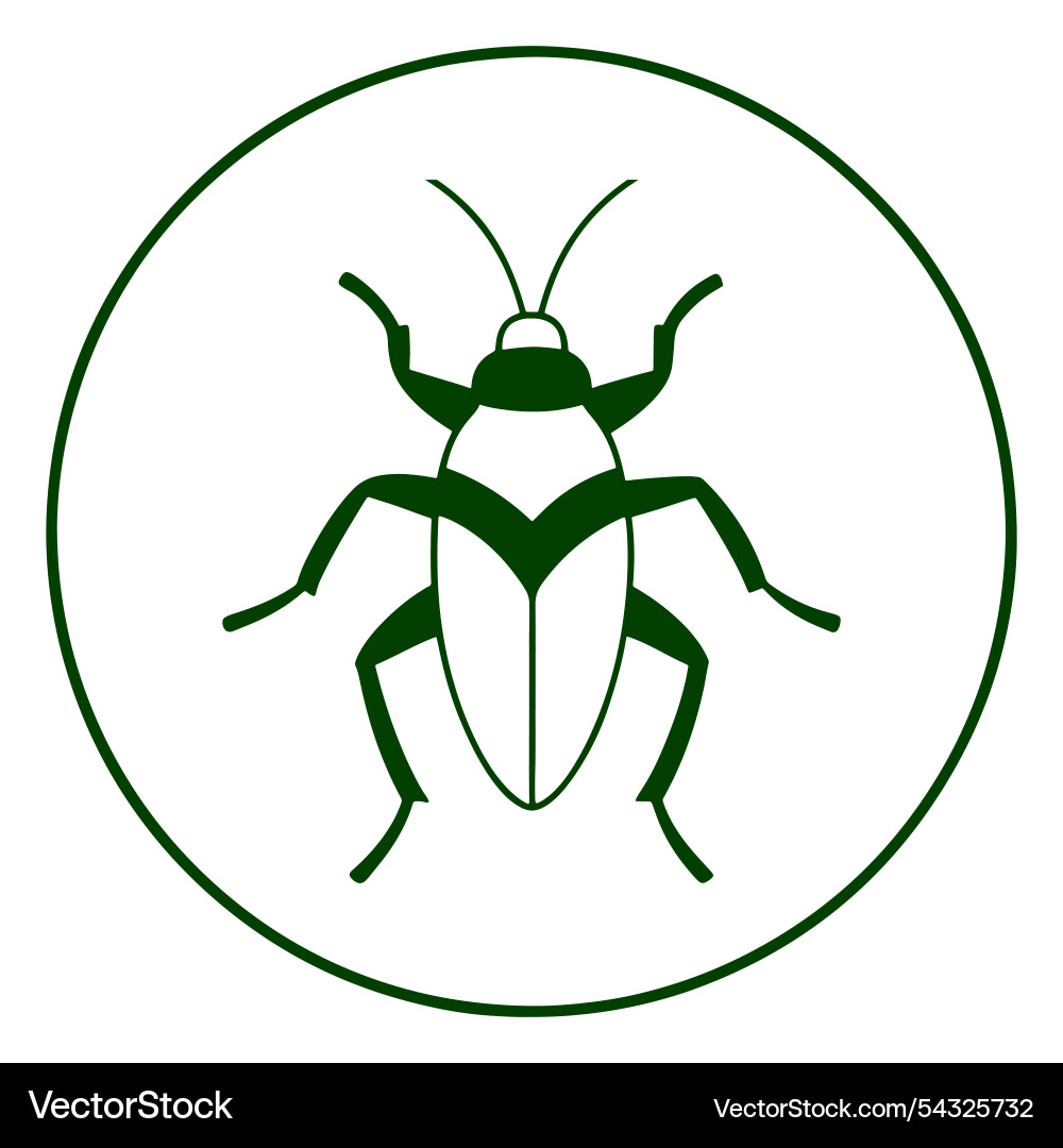 Unique cockroach art for designs Royalty Free Vector Image