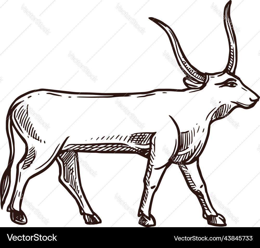 Ancient egypt apis bull sacred deity in sketch Vector Image