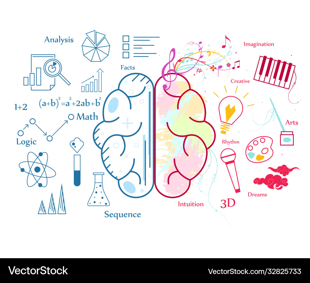 Human brain concept contour linear style Vector Image