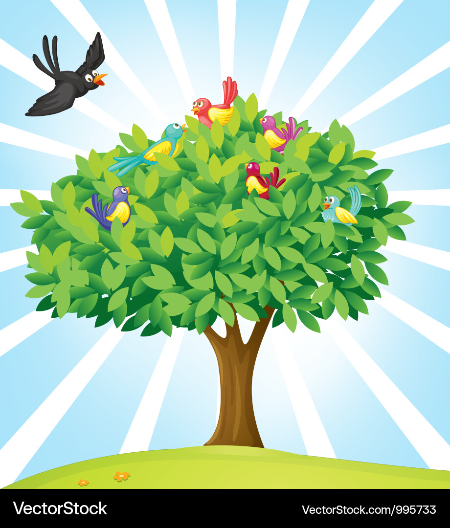 Tree with birds Royalty Free Vector Image - VectorStock