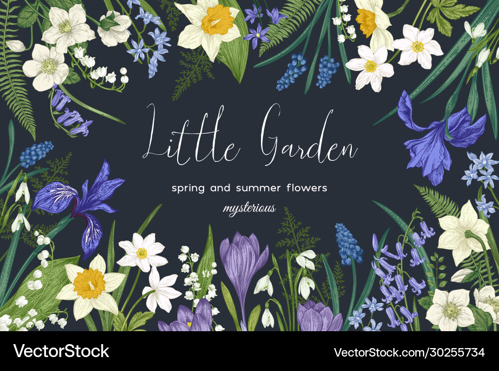 Botanical Floral Background Royalty Free Vector Image