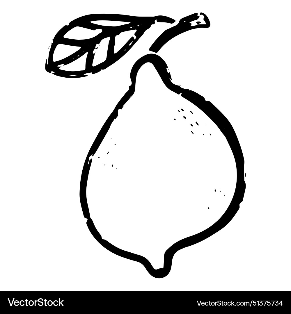Lemon line art doodle texture outline hand Vector Image