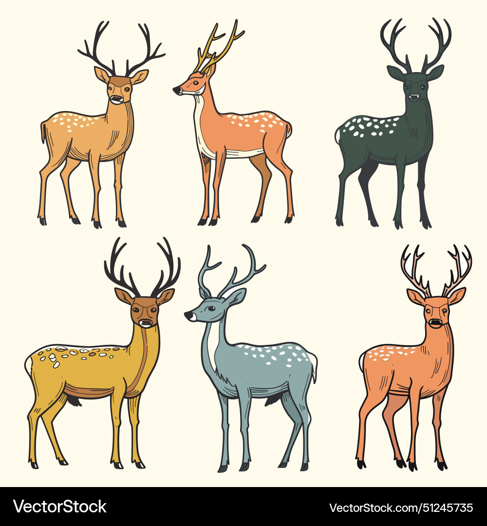 Six stylized deer unique coloration Royalty Free Vector