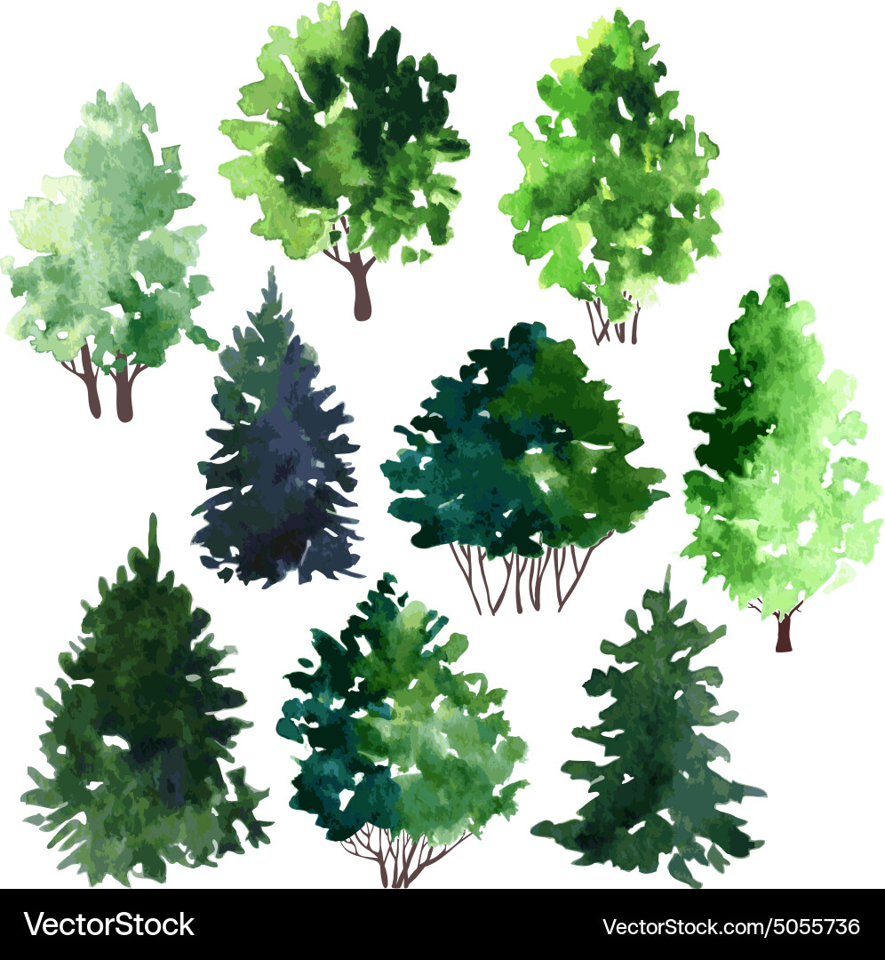 Watercolor Trees Grove Vector Images (over 270)