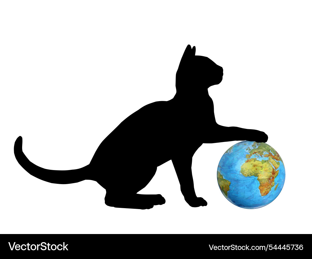 Silhouette of cat with globe Royalty Free Vector Image
