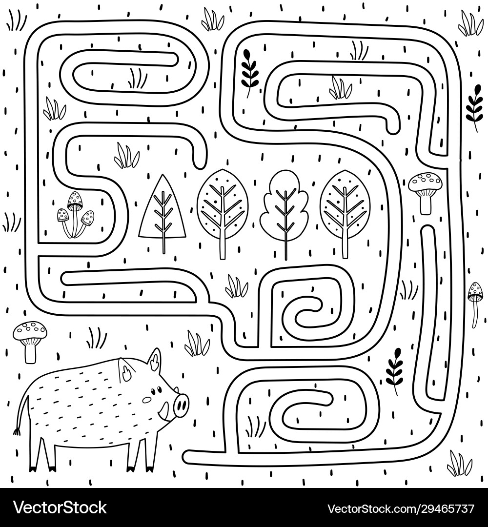 Black and white maze game for kids help boar Vector Image
