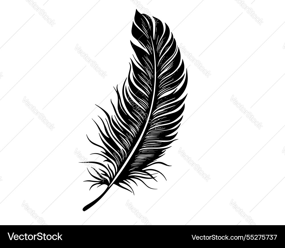 Single feather black and white line art Royalty Free Vector