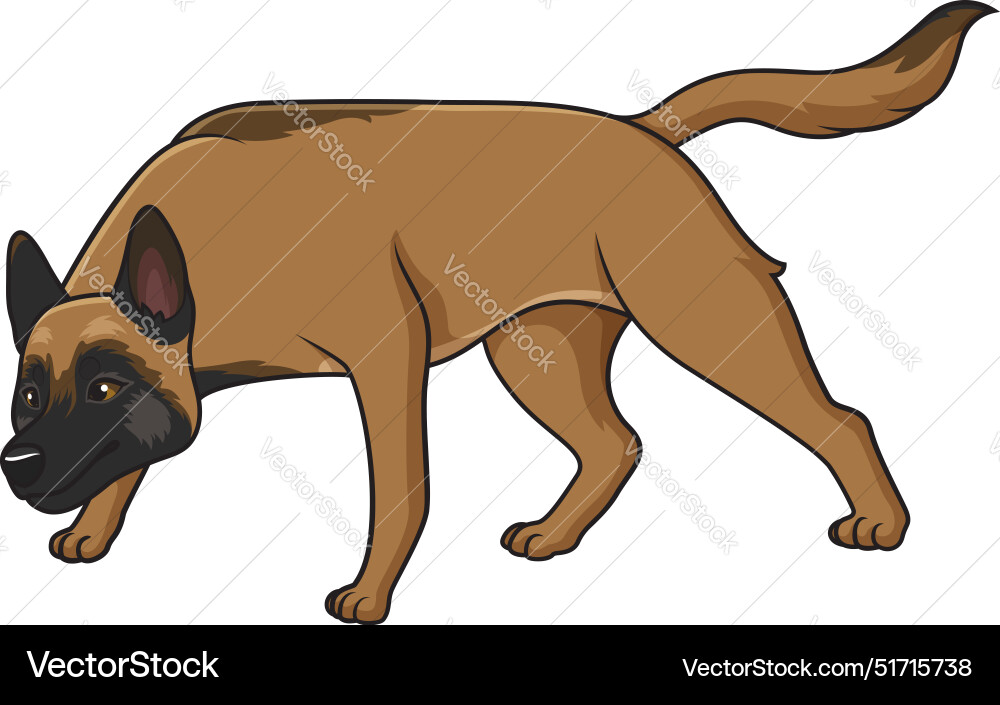 Belgian shepherd sniffing cartoon Royalty Free Vector Image