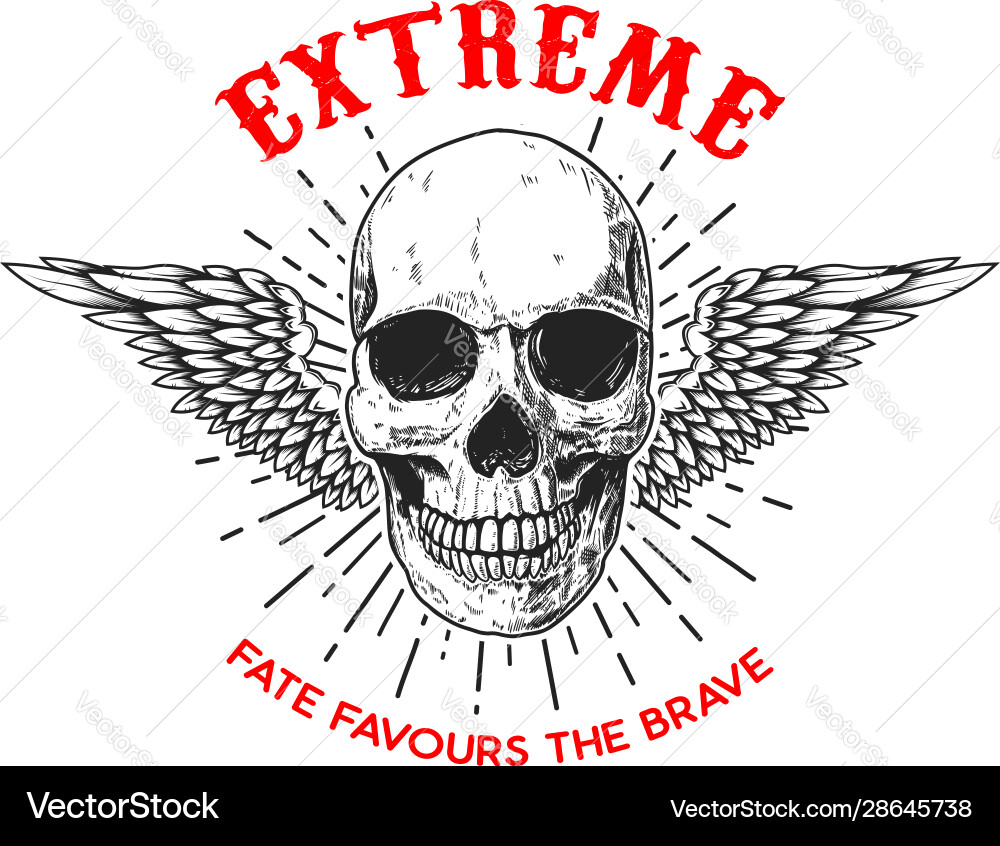Extreme poster template with winged human skull Vector Image