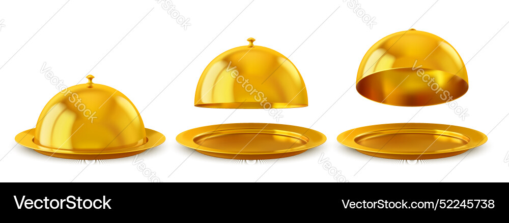 Golden Dishware Set - Cloche & Platter Vector Image