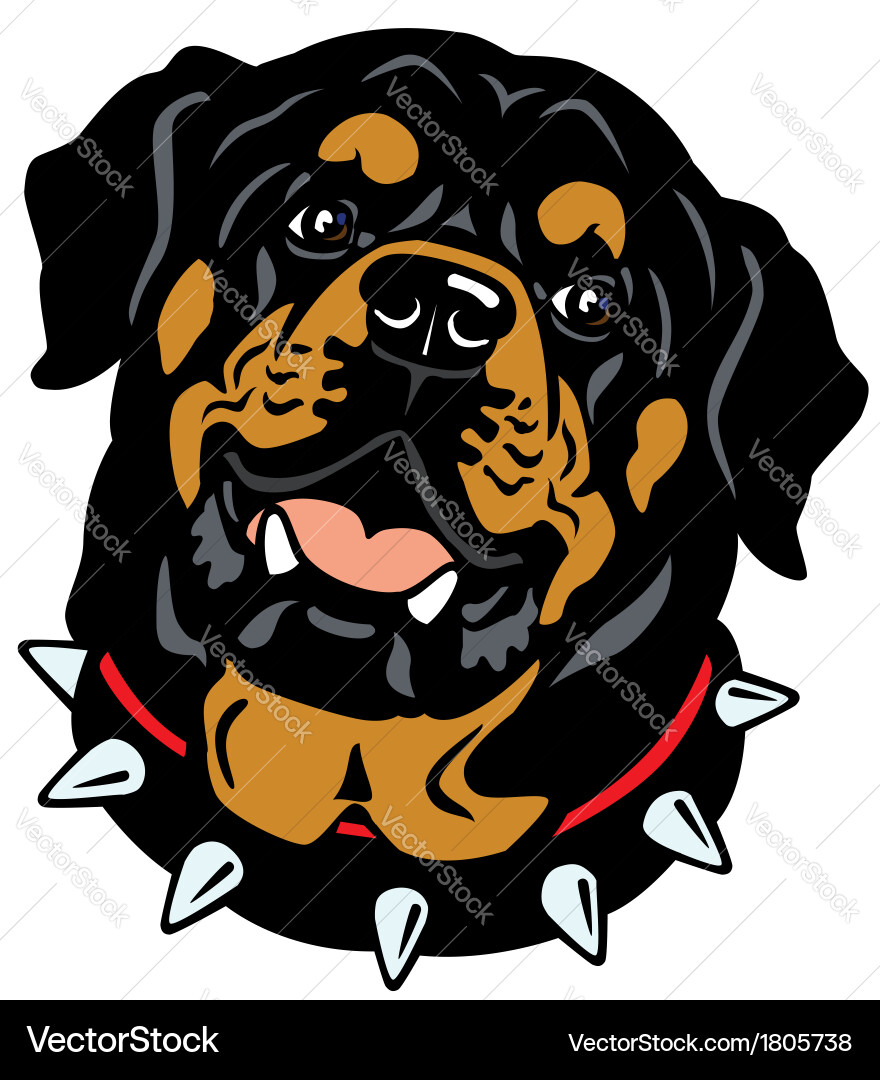 Rottweiler head Royalty Free Vector Image - VectorStock