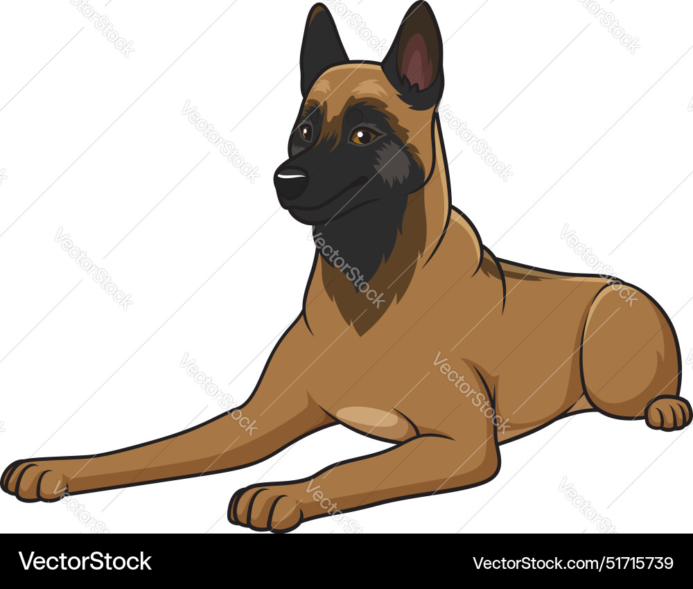 Belgian shepherd lying down cartoon Royalty Free Vector Belgian shepherd lying down cartoon Royalty Free Vector