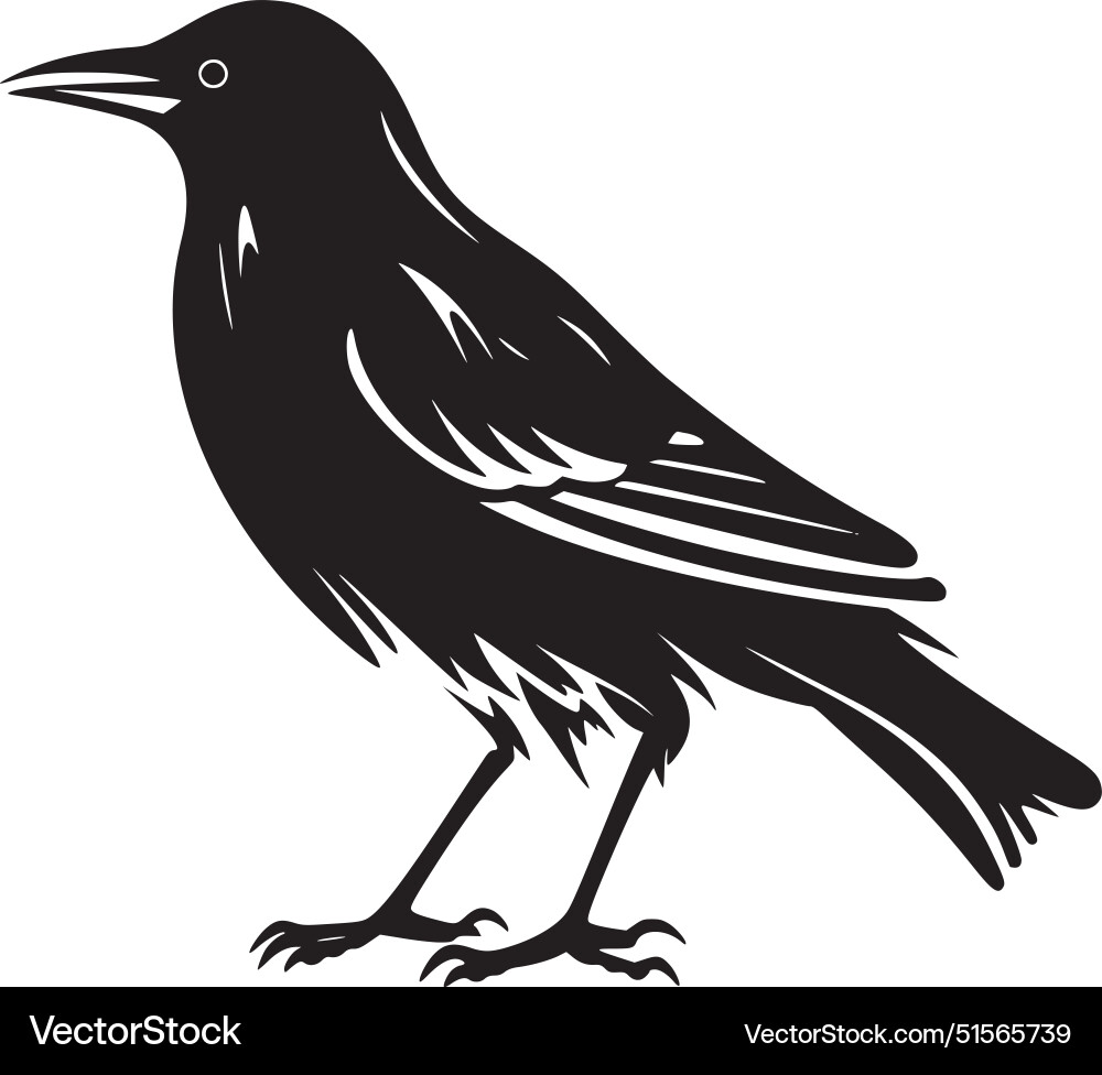 Crow - high quality logo ideal for t-shirt Vector Image