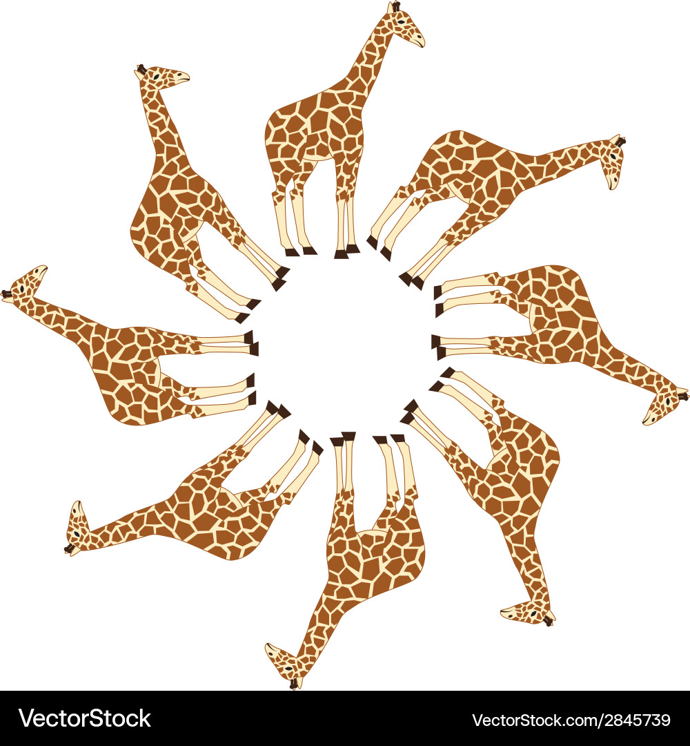 Giraffe in circle Royalty Free Vector Image - VectorStock