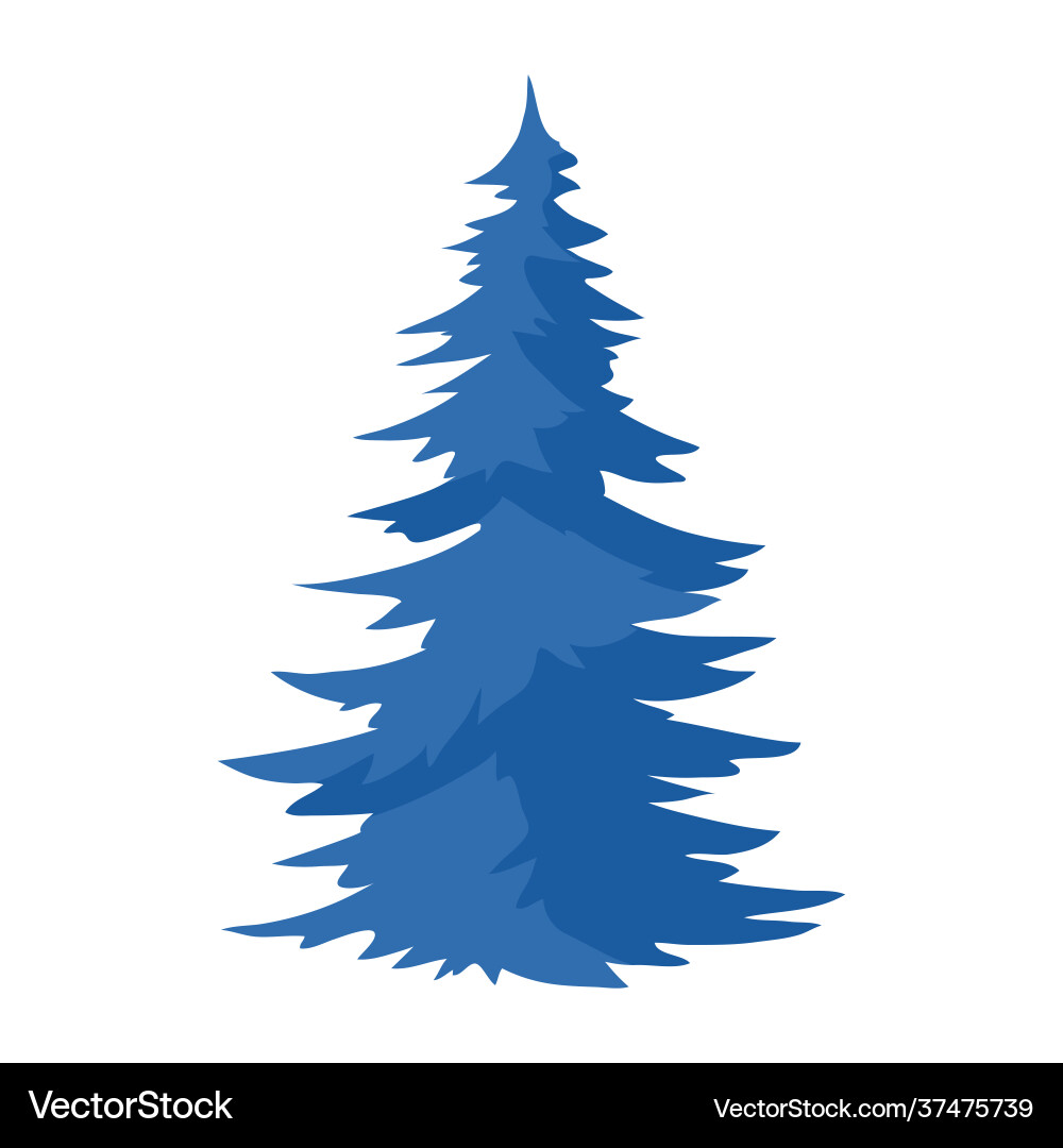 Spruce natural icon blue tree Royalty Free Vector Image