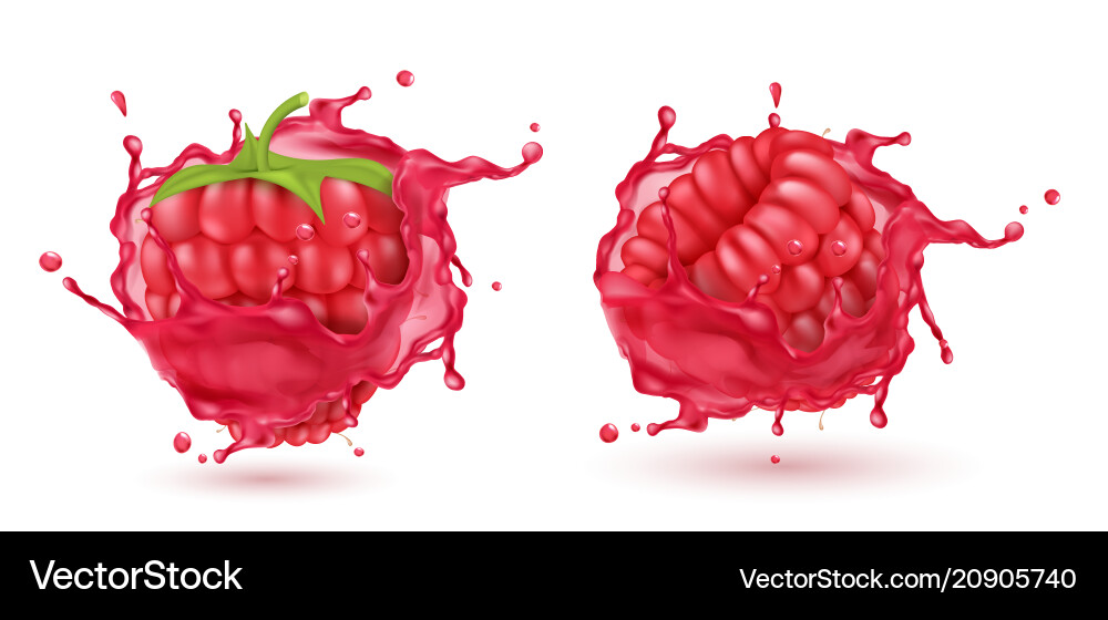 3d realistic raspberries in splashing juice Vector Image