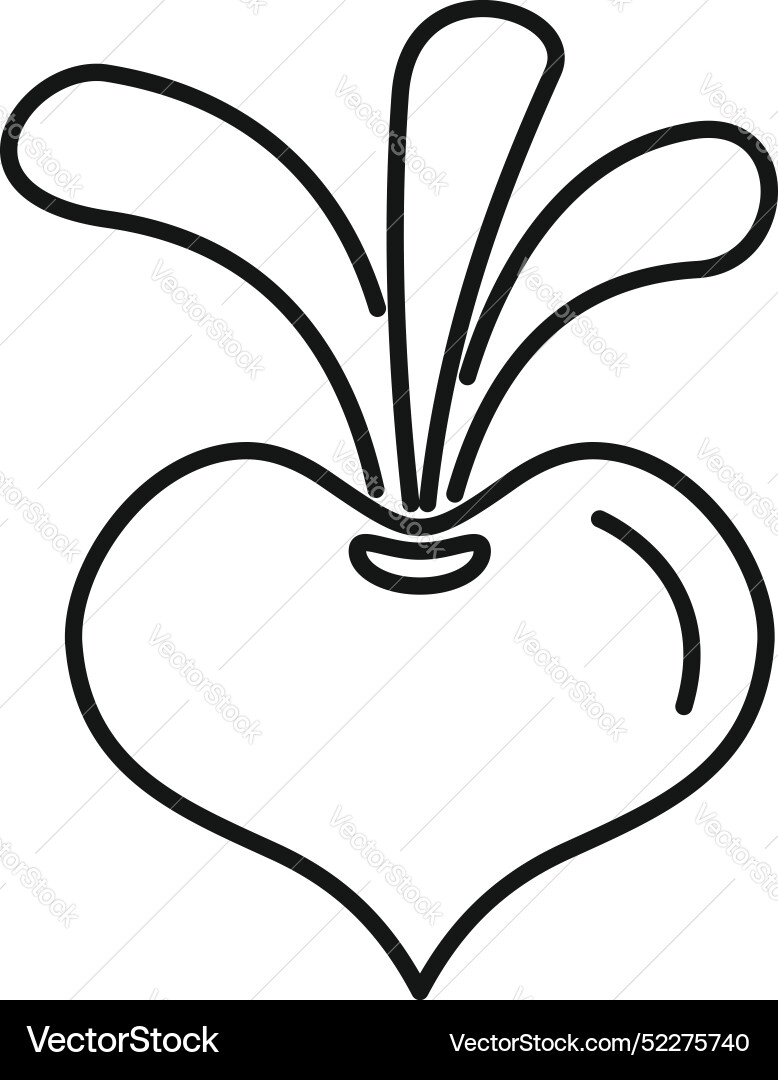 Heart shaped beetroot growing with leaves line art