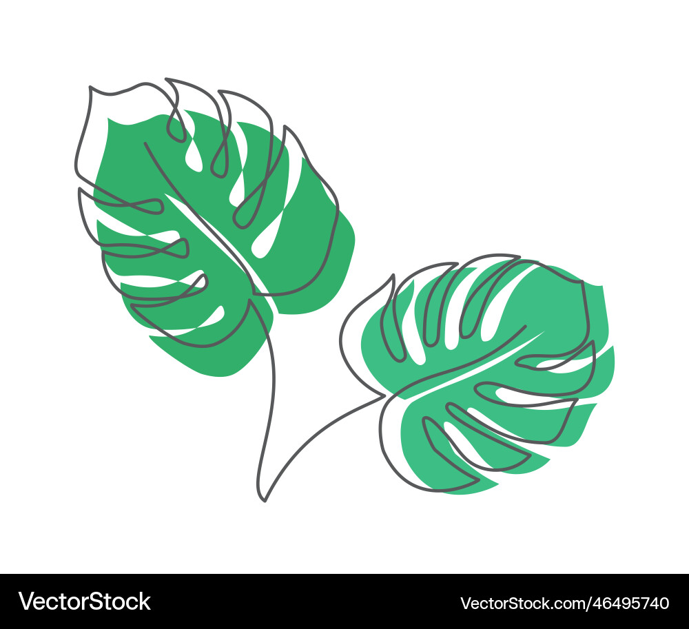 Tropical Monstera Leaf Line Art Royalty Free Vector Image