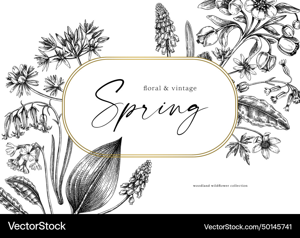 Delicate spring frame template hand drawn Vector Image