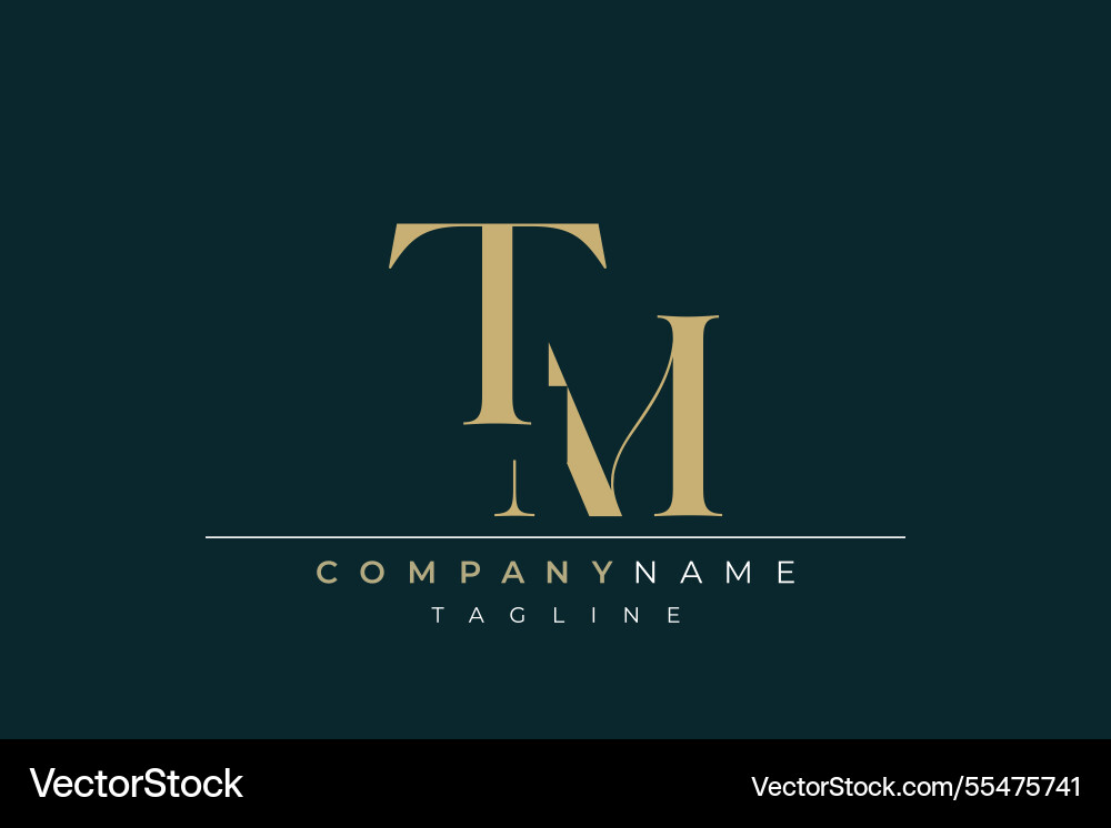 Tm abstract logo design Royalty Free Vector Image