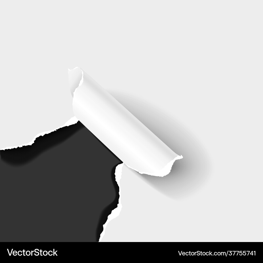 White paper sheet with torn hole corner Royalty Free Vector