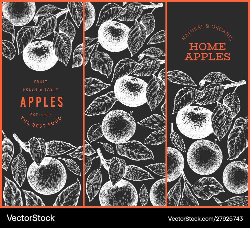 Apple branch designs set hand drawn garden fruit Vector Image