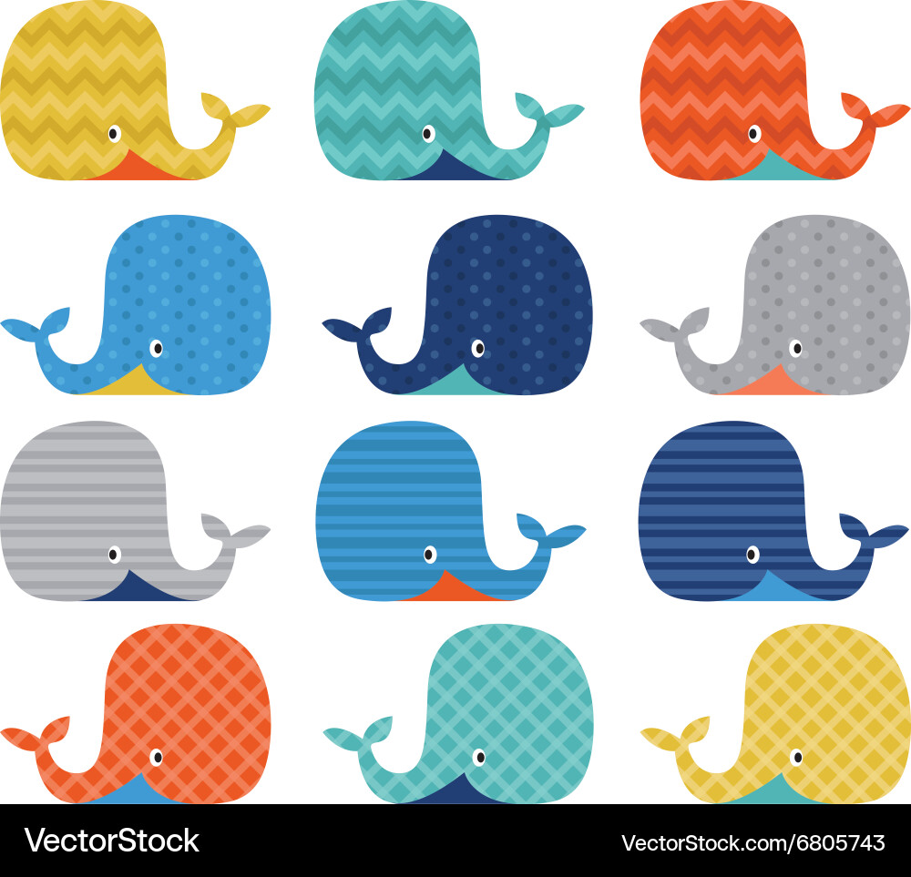 Colorful cute whale collections Royalty Free Vector Image
