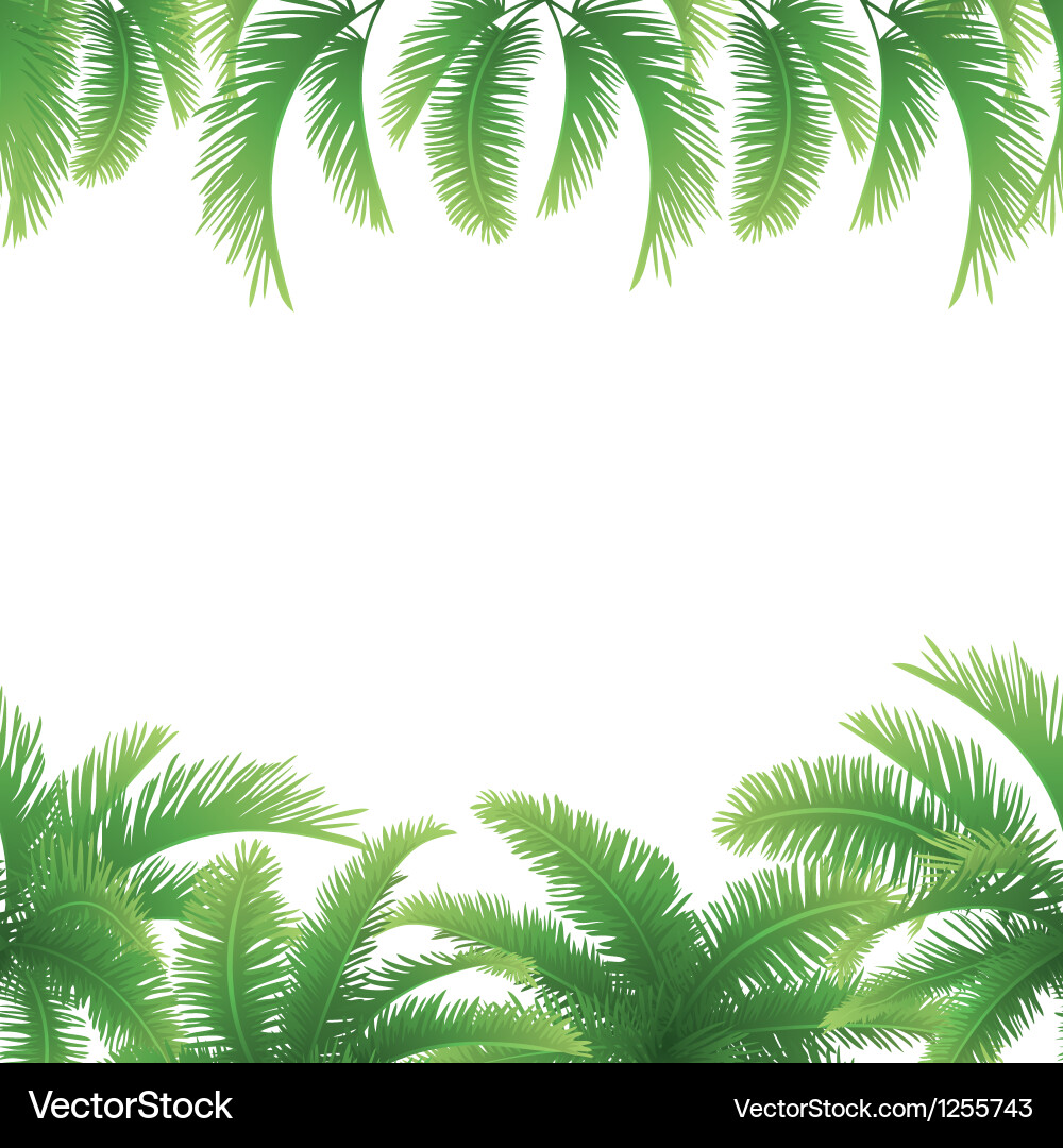 Seamless background palm leaves Royalty Free Vector Image