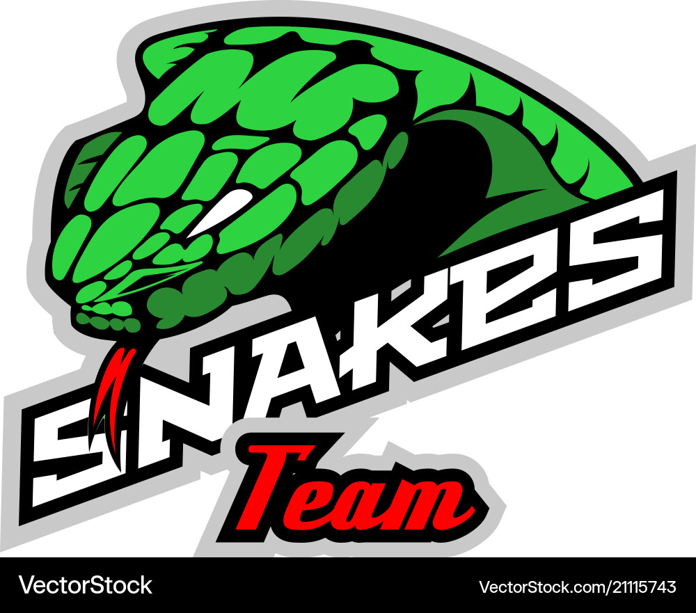 Snake Team Logo Template Royalty Free Vector Image