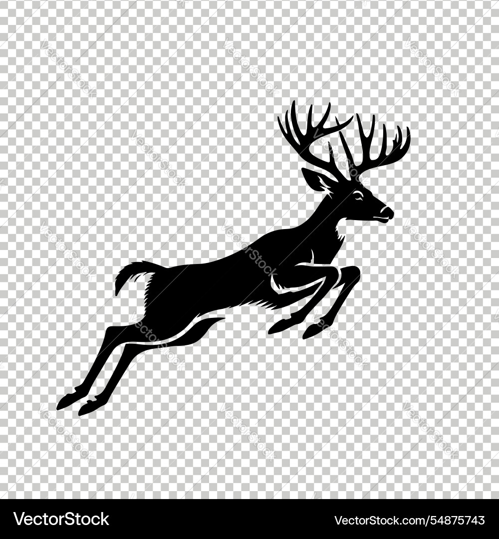 Whitetail deer Royalty Free Vector Image - VectorStock
