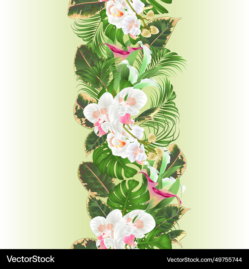 Floral vertical border seamless background Vector Image