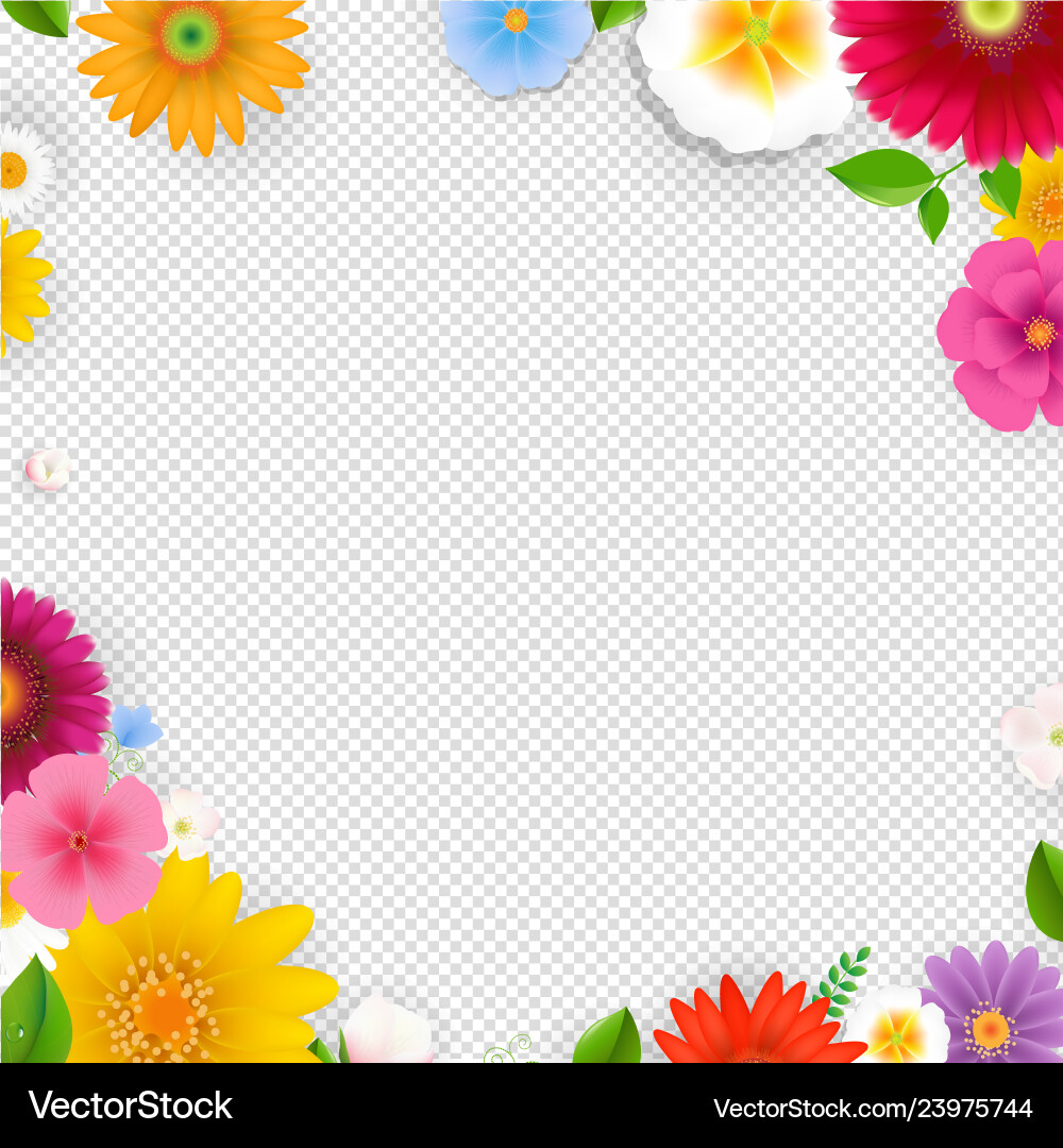 Frame with flowers transparent background Vector Image