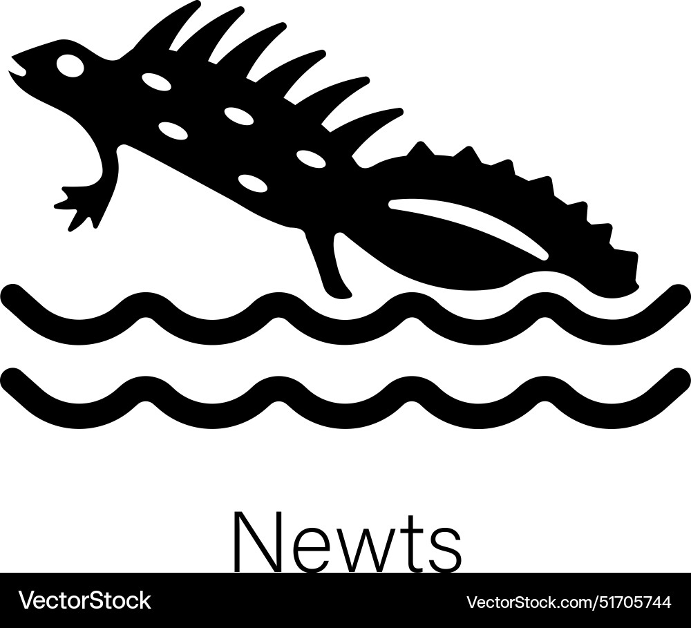 Newts Royalty Free Vector Image - VectorStock