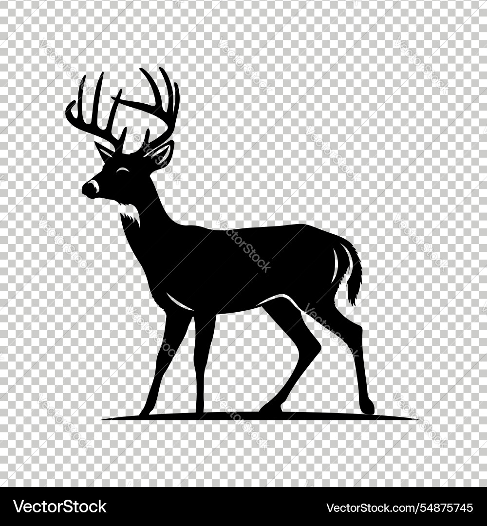 Whitetail deer Royalty Free Vector Image - VectorStock