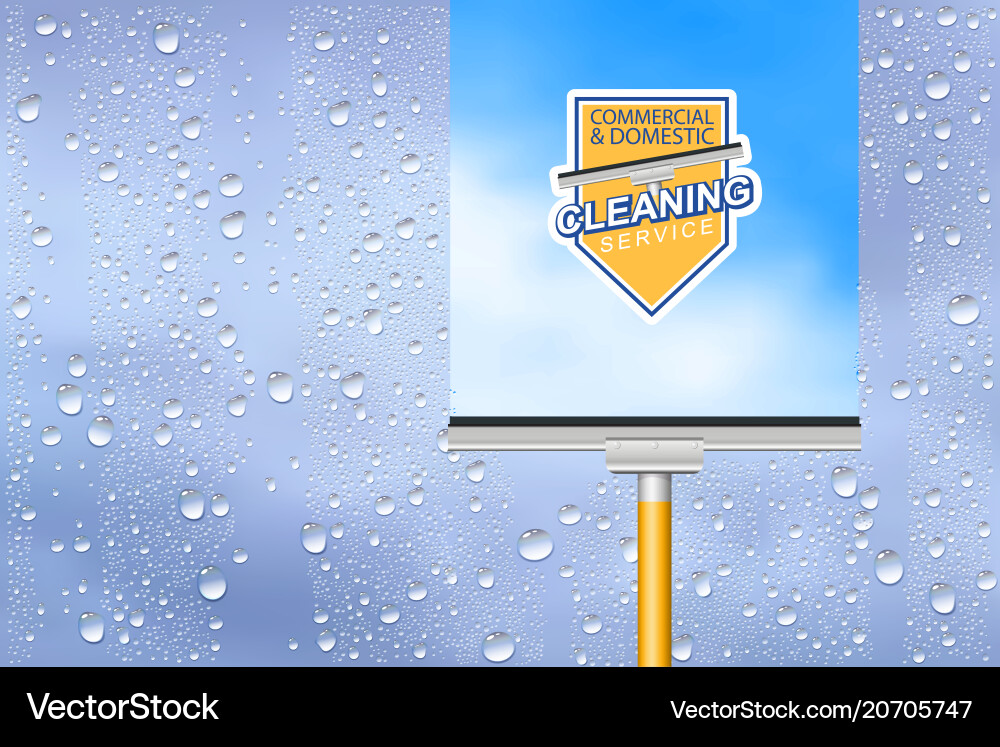 Cleaning service background Royalty Free Vector Image